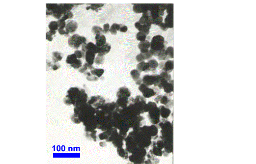100 g Mn2O3 (99.5 %, 60 nm) Nanopowder - NPMn2O3 – Thasar S.r.l.